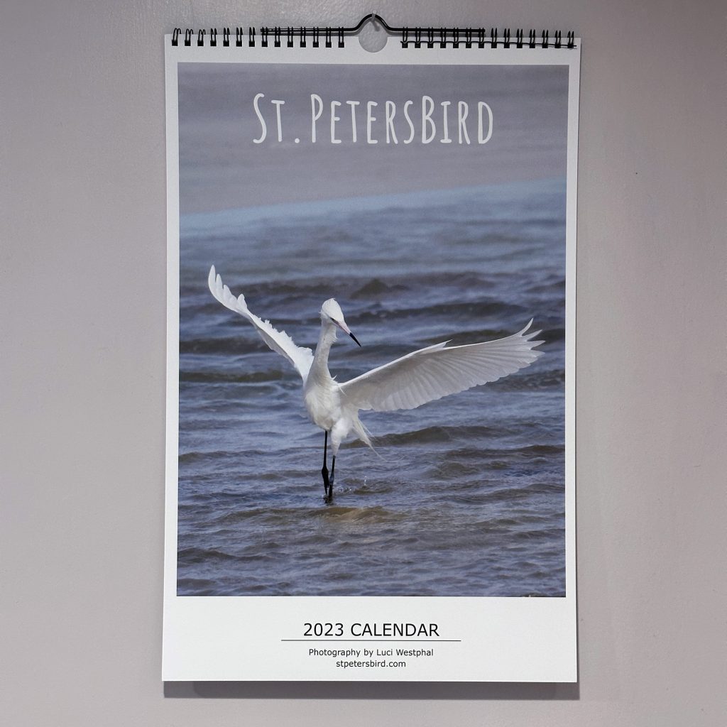 2023 St. PetersBird Calendar - St. PetersBird