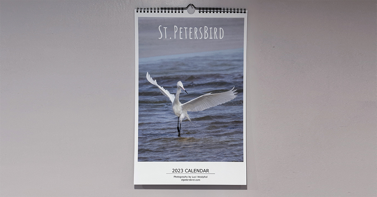 2023 St. PetersBird Calendar - St. PetersBird